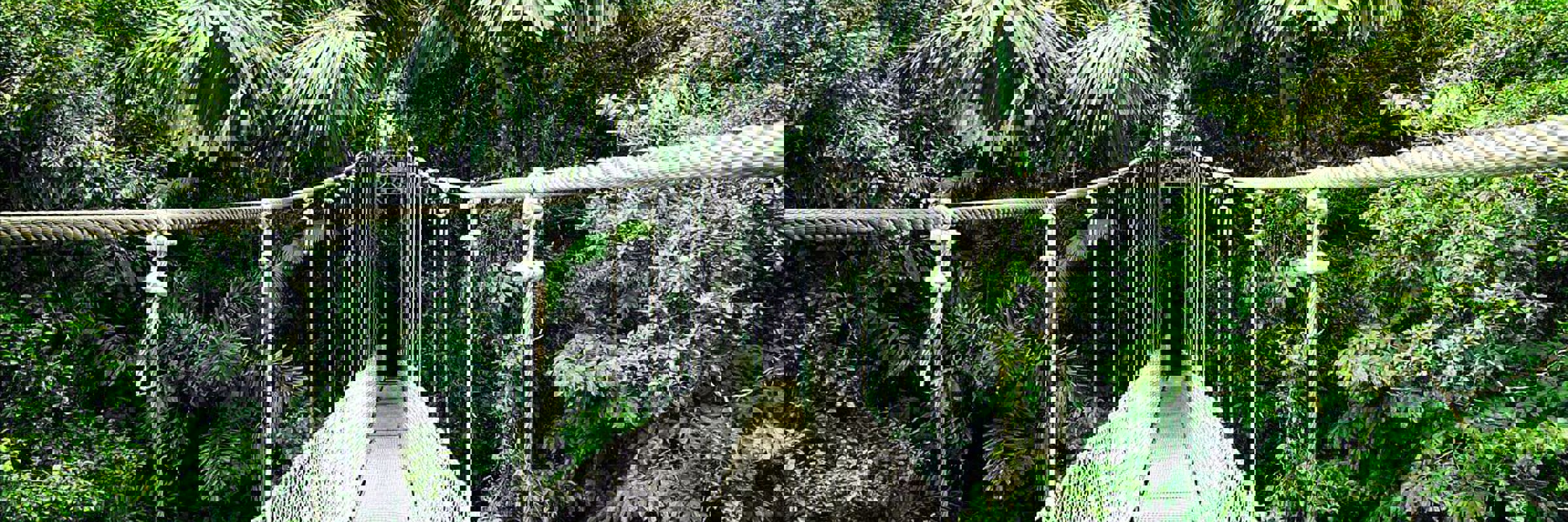 Arenal Hanging Bridges - Arenal Volcano National Park