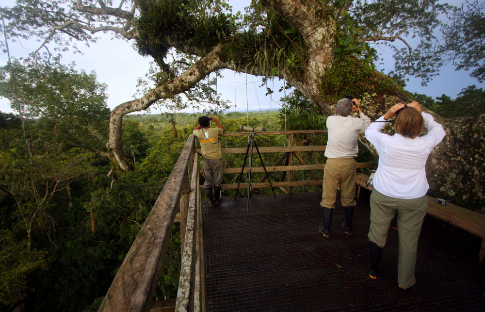 Canopy Towers - Amazon Rainforest in Ecuador