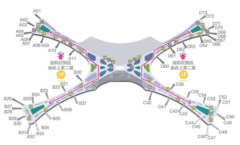 Beijing Daxing International | Veloso Tours