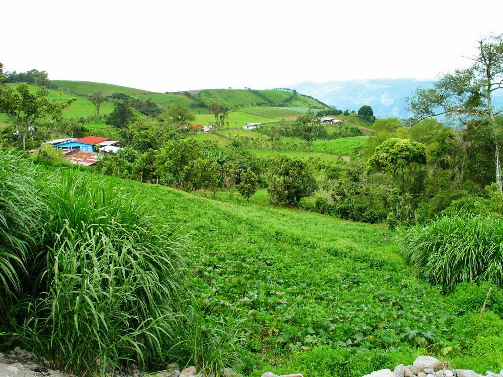 Costa Rica's Turrialba Volcano National Park | Veloso Tours