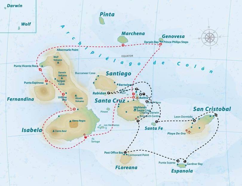 Explore Galapagos Wildlife on the Samba Cruise | Veloso Tours