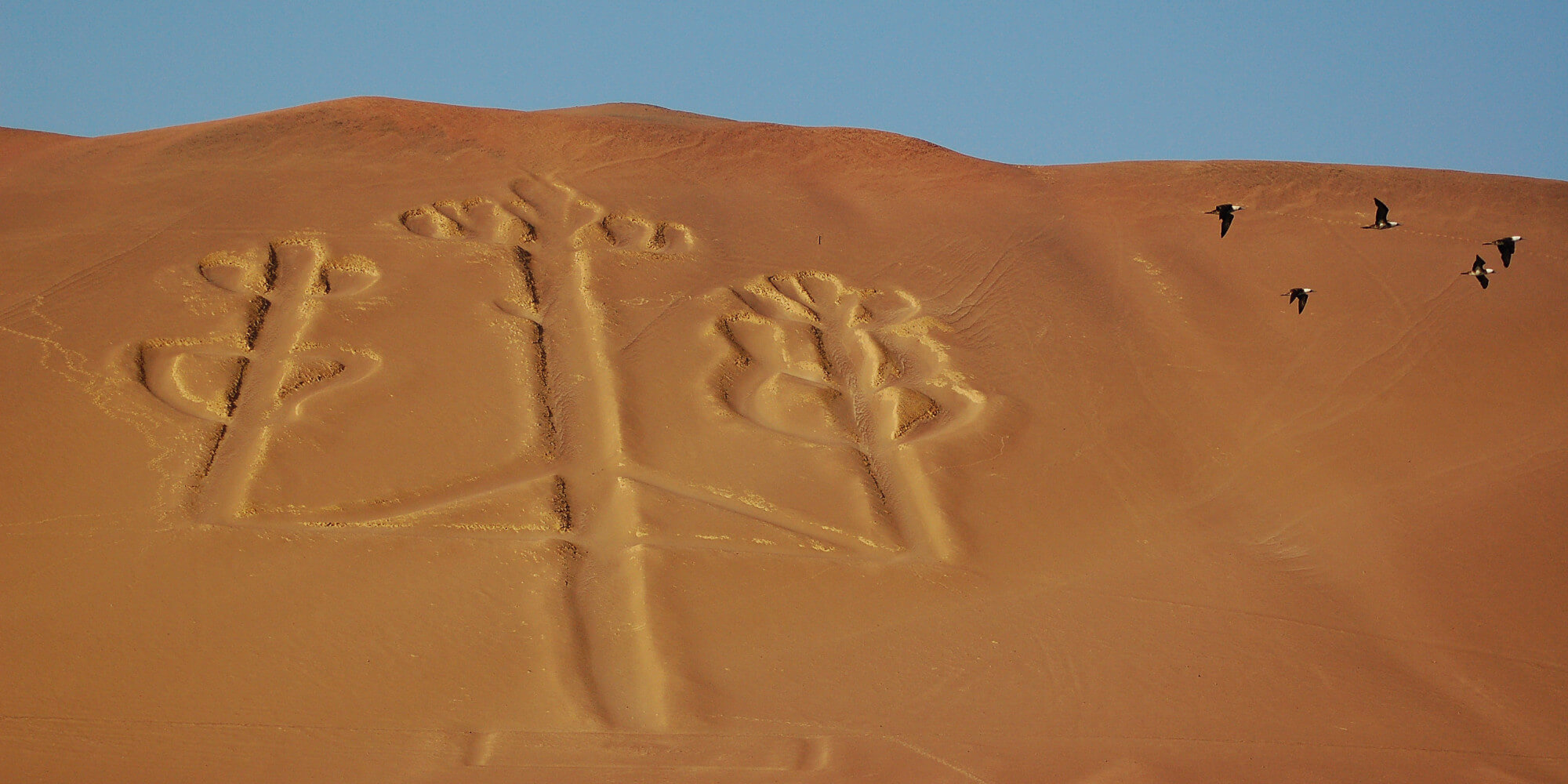 Peru's Nazca Lines from the Sky: Uncover the Mystery | Veloso Tours