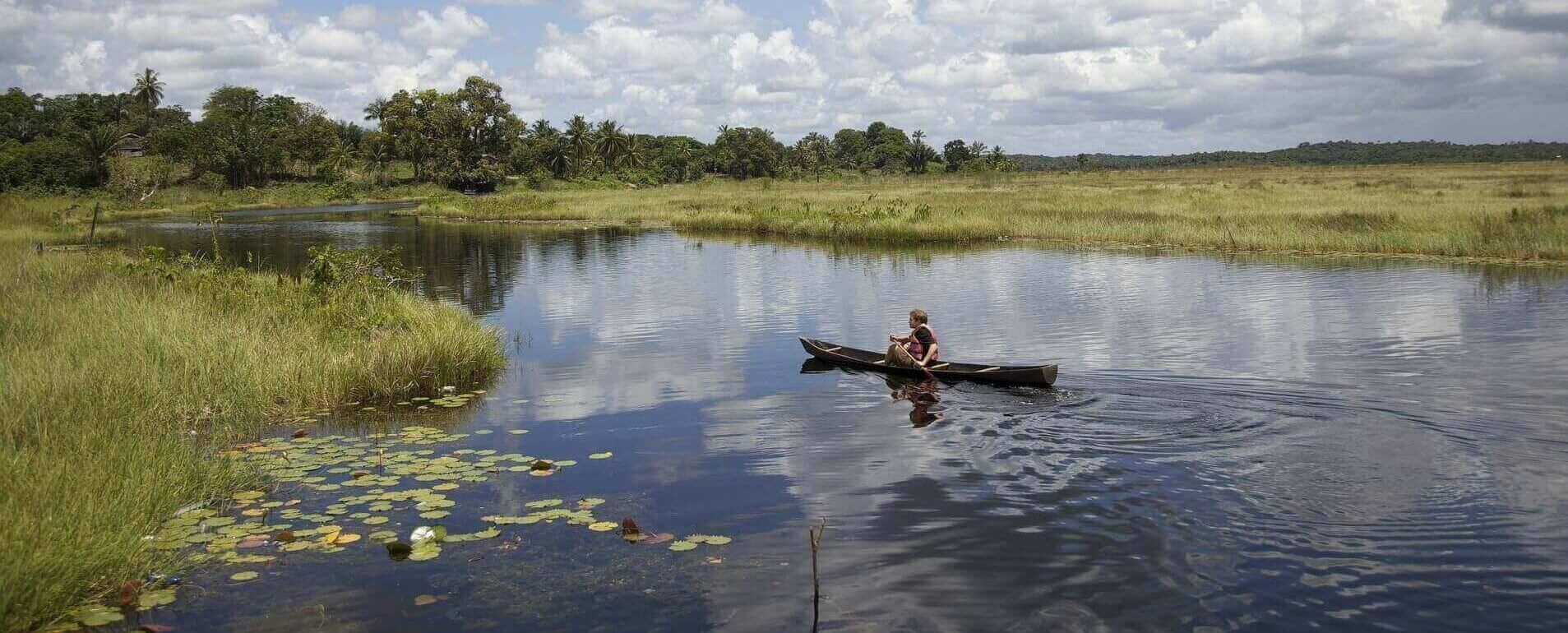 The Amazon Rainforest - French Guiana Holidays | Veloso Tours